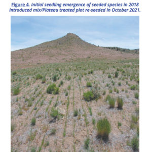 Performance of the Pre-Emergent Herbicide Indaziflam on Cheatgrass ...