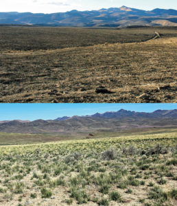 The Martin Fire: Then and Now - The Progressive Rancher