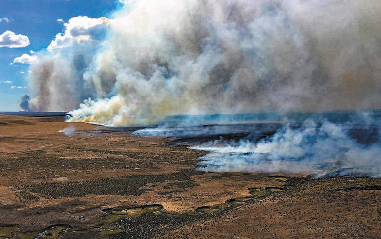 The Martin Fire: Then and Now - The Progressive Rancher